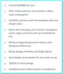 Canva Review : All in One with Pros and Cons - Mssaro